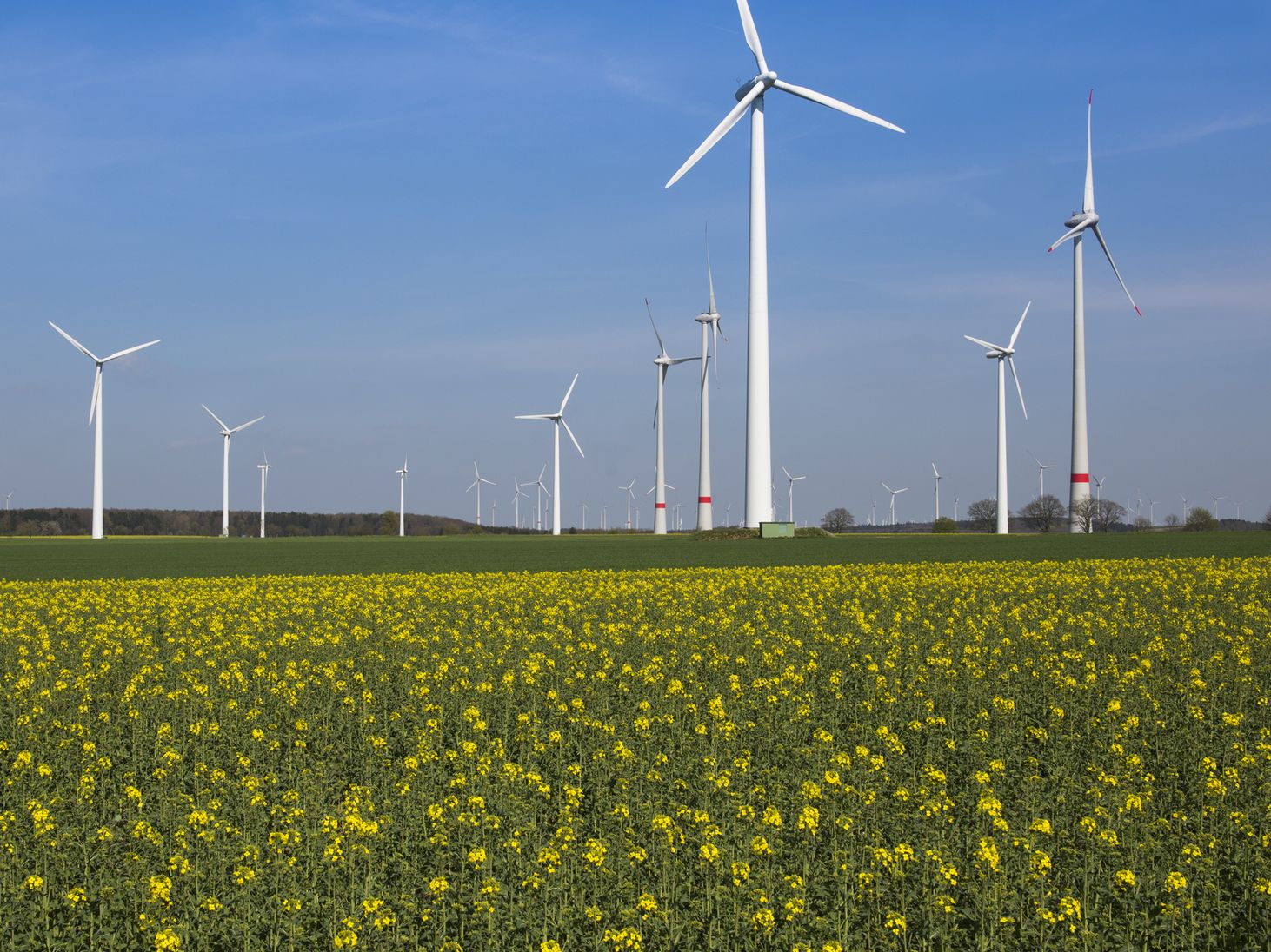 Qualitas buys PNE wind developments | PFI